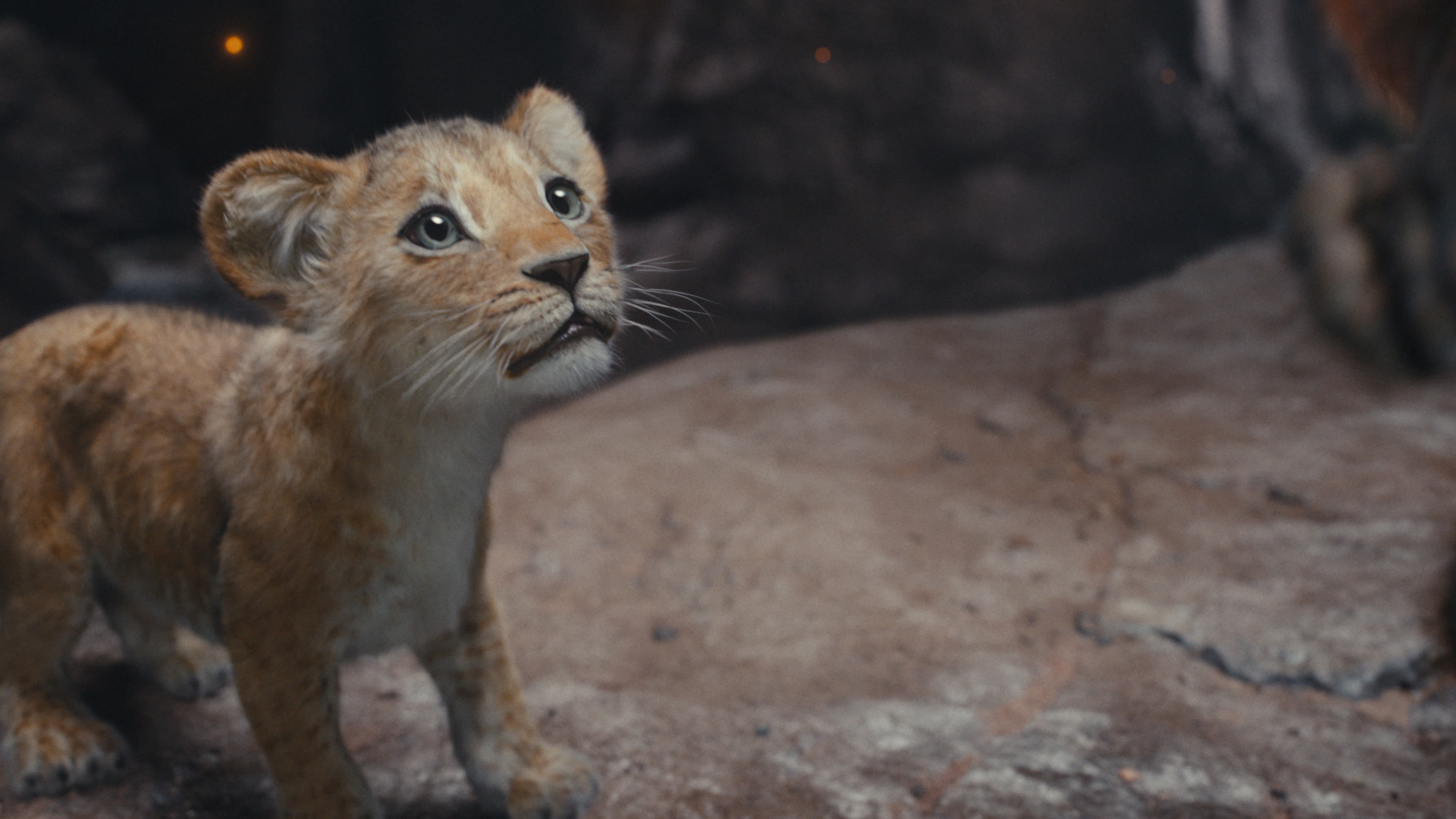 Mufasa : Barry Jenkins a donné sa patte au Roi Lion | SFR ACTUS
