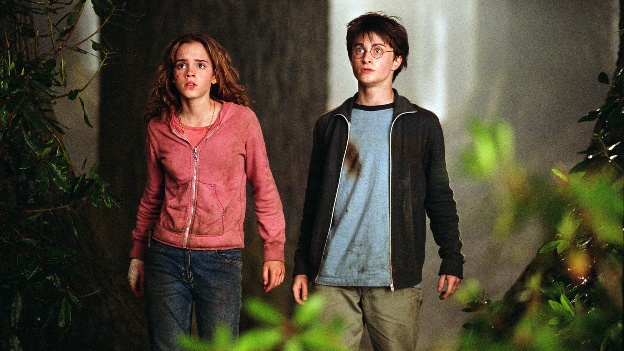 Harry Potter & Les Animaux fantastiques : dans quel ordre regarder les ...
