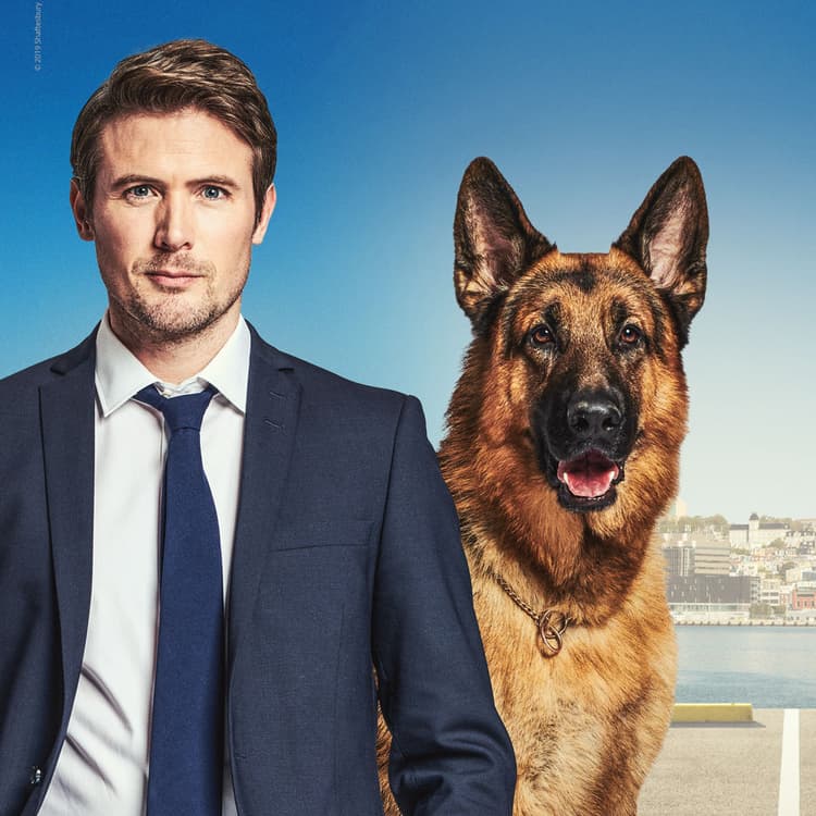 Hudson & Rex : l’inspecteur canadien et son chien arrivent sur 13ème ...