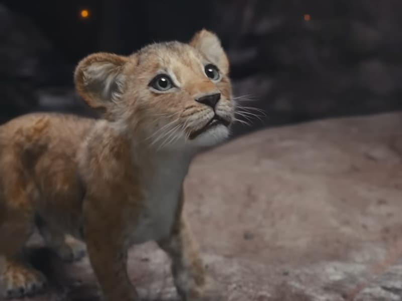 Nouveau film Marsupilami : Philippe Lacheau nous en dit plus sur son ...