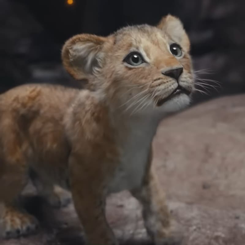 Flow : le film d’animation récompensé aux César et aux Oscars est à (re ...