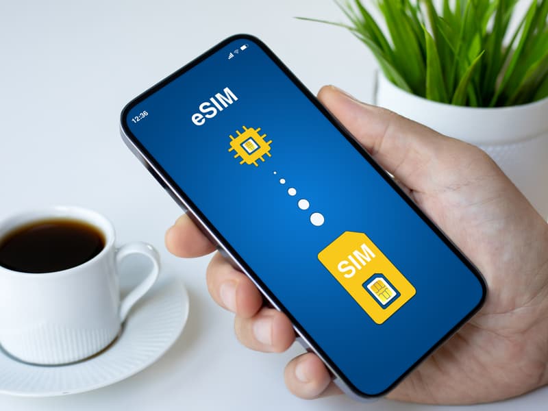 Carte SIM : quels sont les différents formats selon les mobiles ? | SFR ...