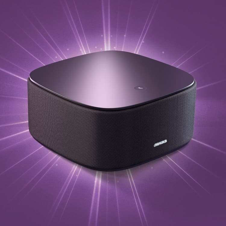 SFR Box 8 | SFR ACTUS