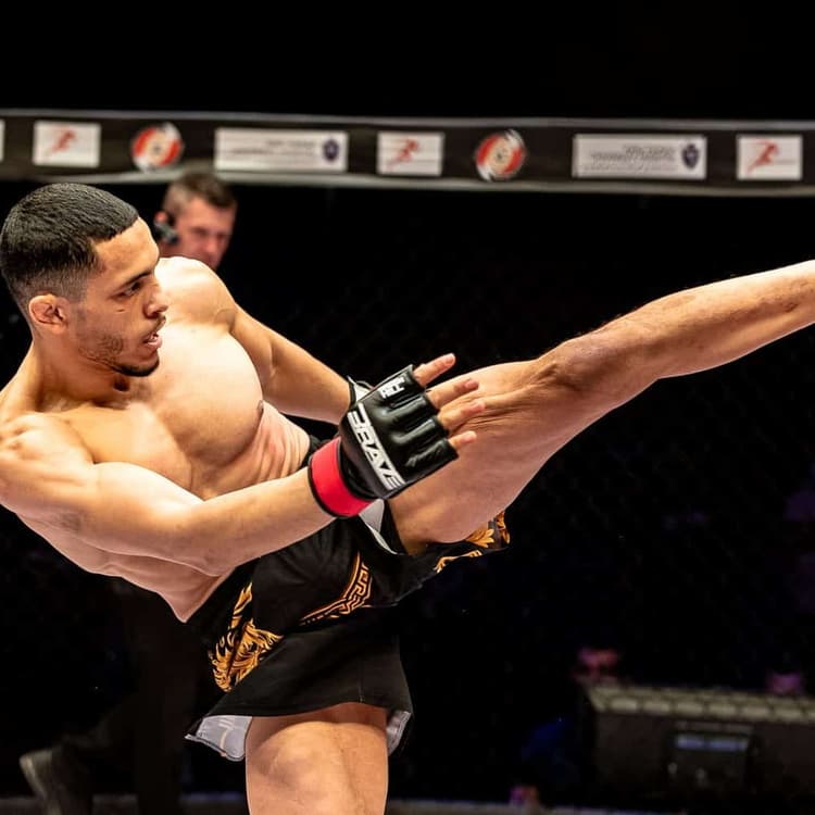 Hexagone MMA 11 x Brave CF 74 : soirée 100% MMA à ne pas manquer sur ...
