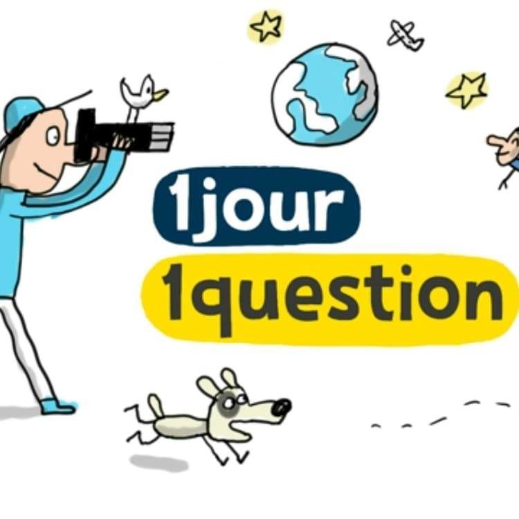 1 jour 1 question : l'émission didactique pour les petits est sur SFR ...