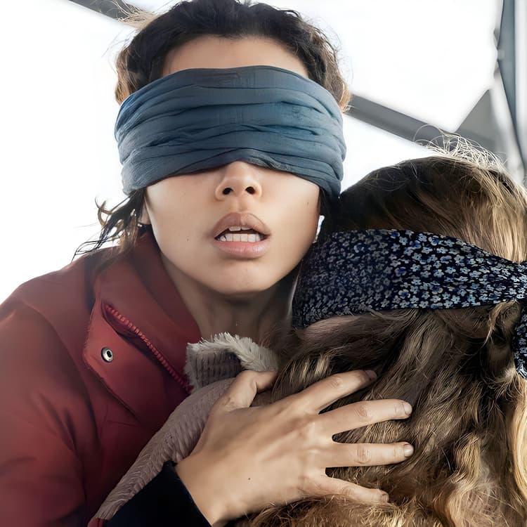 Bird Box Barcelona sur Netflix : quel est le lien avec le film porté ...