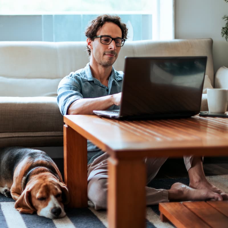 Quelle est la différence entre CPL WiFi et répéteur ? | SFR ACTUS